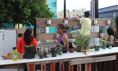 Programs | ISER Caribe